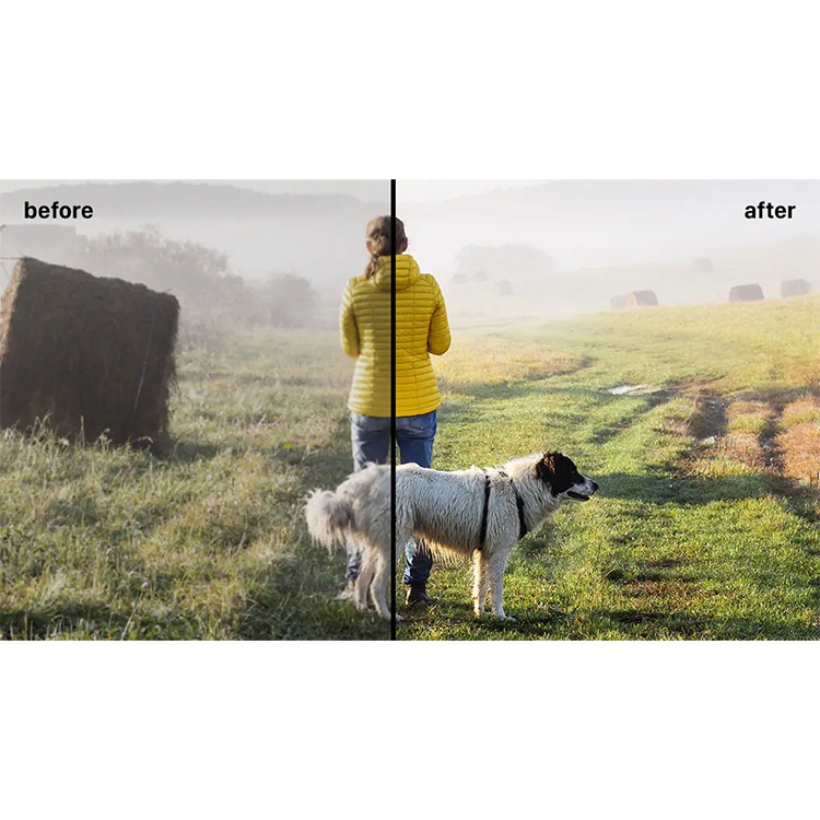 Promotion | SoftMaker Office